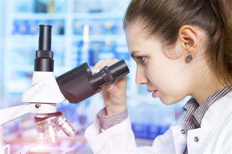 Lab Assistant Using Microscope Stock Image F0114382 Science