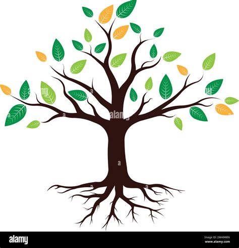 Tree Logo Stock Vektor Template Stock Vector Image And Art Alamy