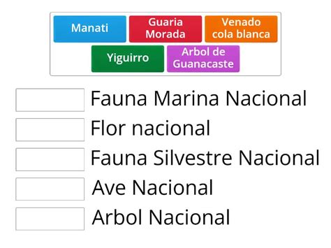 Simbolos Patrios De Costa Rica Une Las Parejas