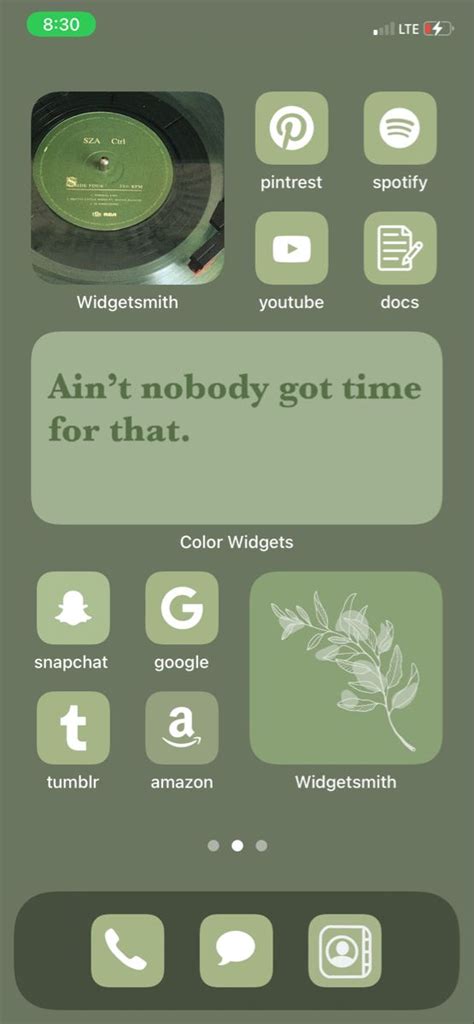 Sage Green IOS Wallpaper Spotify Snapchat Sza Ctrl