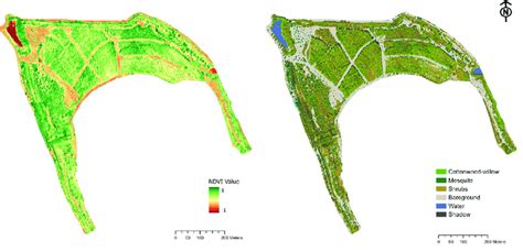 Uav Derived Ndvi Left And Land Cover Classification Right Maps Of Download Scientific