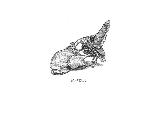 Inktober 2022 16 Fowl By Dawnwolfart On Deviantart