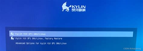 麒麟桌面系统进入单用户模式修改密码advanced Options For Kylin Csdn博客