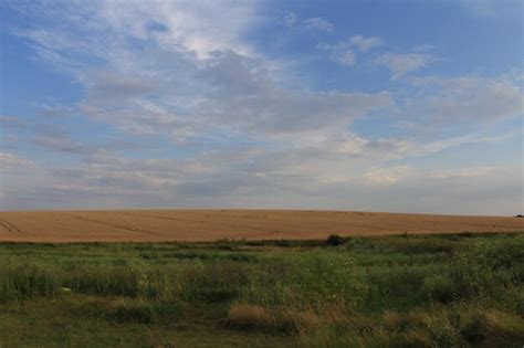 Premium Photo A Field Of Grass And Blue Sky