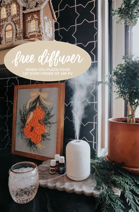 Diffusers Non Toxic Cleaning And More On Sale Nesting With Grace