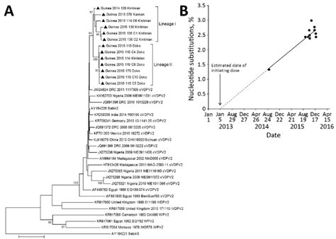 vp1 sequence analysis of cvdpv2 isolated from case patients n 6 and