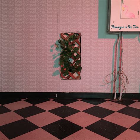 Thorned Rose Youtube Music