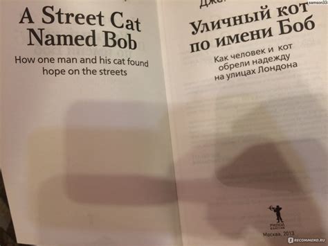Уличный кот по имени Боб. Джеймс Боуэн - «Про котов» | отзывы