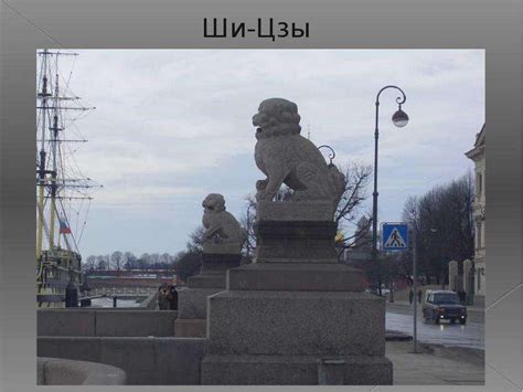 Памятники животным презентация доклад проект скачать