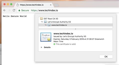 Free And Automated Ssltls Certificates With Go • Goenning