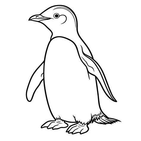 Premium Vector Hand Drawn Penguin Outline Illustration Black And