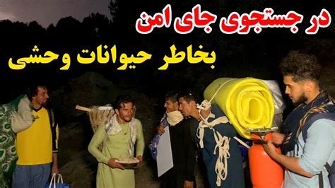 ادامه سفر جنگل وحشت شب در جنگل پر از حیوانات وحشی سپری کردیم Youtube