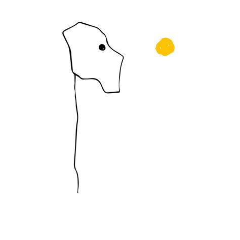 Ghass La Période Renaissance