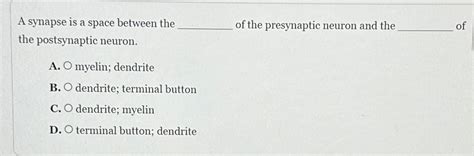 Solved A Synapse Is A Space Between The Of The Presynaptic