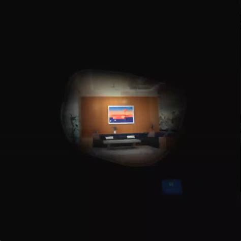 Eye Disease Simulator™ By Visionaid