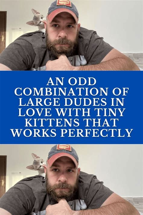 An Odd Combination Of Large Dudes In Love With Tiny Kittens That Works