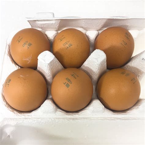 맥반석달걀맥반석계란 이제 집에서 만들어요~