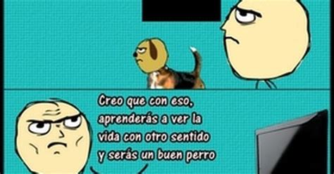 Cuánto Cabrón Los Perros Copian Todo De La Televisión
