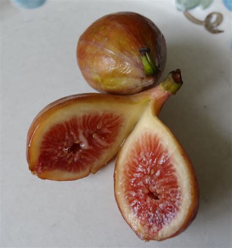 Fresh Fig Smoothie Real Food Houston