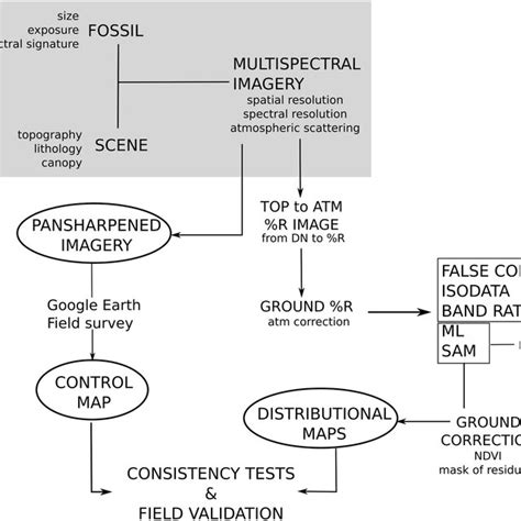 Logic Workflow Of The Analyses Explained In This Paper The Area In
