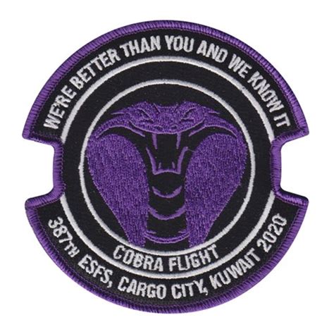 387 Esfs Custom Patches 387th Expeditionary Security Forces Squadron