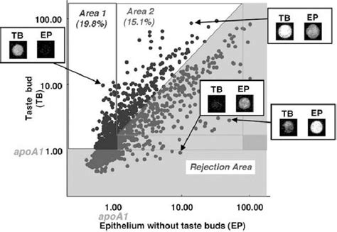 Comparison Of Spot Intensities From Images From A Cdna Microarray