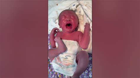 The Newborns Super High Pitched Crying Super Cute Youtube