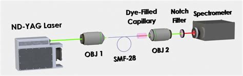 A Schematic Of The Experimental Setup Output Of A Pulse Frequency Download Scientific Diagram