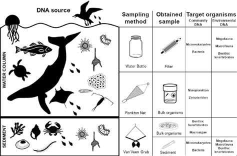 A Different Methods For Sampling Marine Ecosystems Associated With