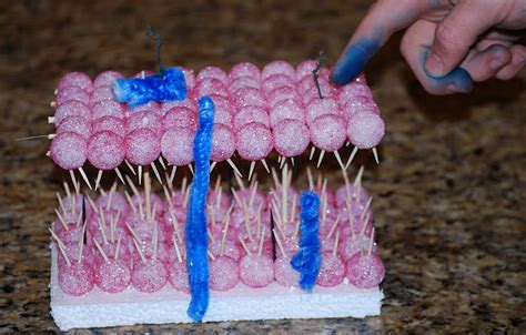 Prairie Pi Kys Diarycell Membrane Project