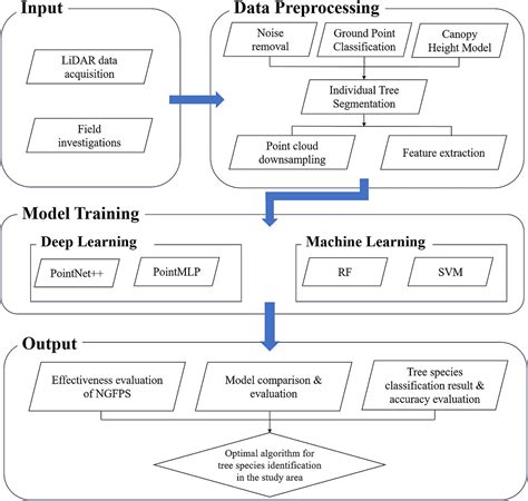 Frontiers Efficient Tree Species Classification Using Machine And Deep Learning Algorithms