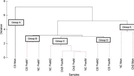 Dendrogram Based On Hierarchical Clustering Method For Seasonal