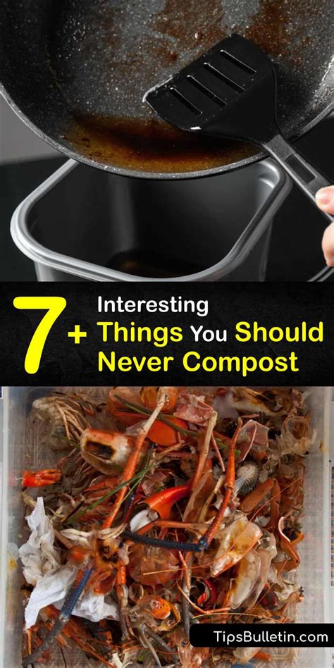 Dont Add These Items To The Composter What Not To Compost