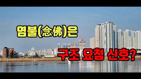 무량수경 제18원 강기 제38강수요공부모임 240131 Youtube