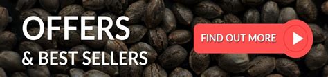 Cannabis Seeds In The Uk Legalities Varieties And Where To Buy
