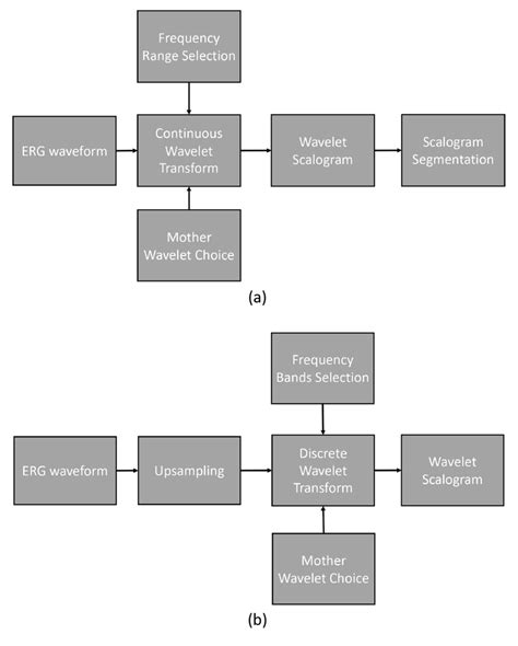Illustrates The Processing Pipelines For Cwt And Dwt The Cwt Download Scientific Diagram