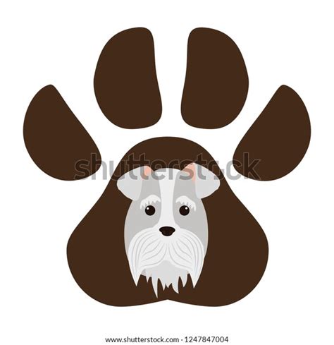 Cute Miniature Schnauzer Paw Print Stock Vector Royalty Free