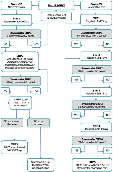Pain Medication Algorithm For Nociceptive Pain Left Track