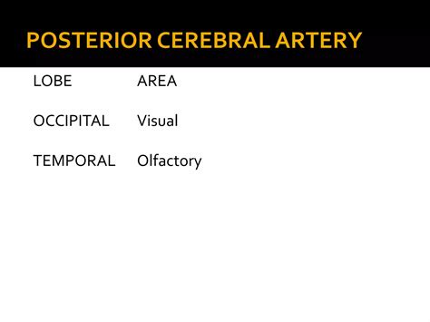 Brain Ct Anatomy And Basic Interpretation Part Ii Ppt