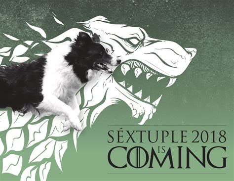 Agility Cantabria Séxtuple 2018