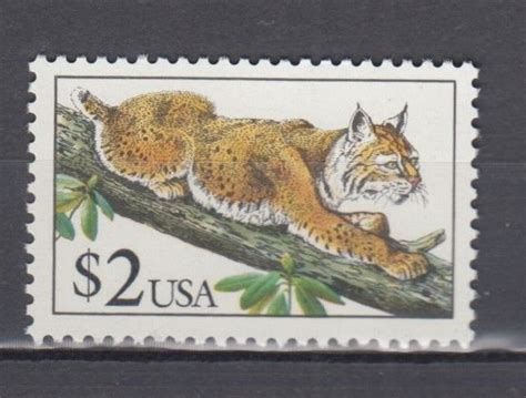 Usa 2482 2 Bobcat Mnh United States General Issue Stamp Hipstamp