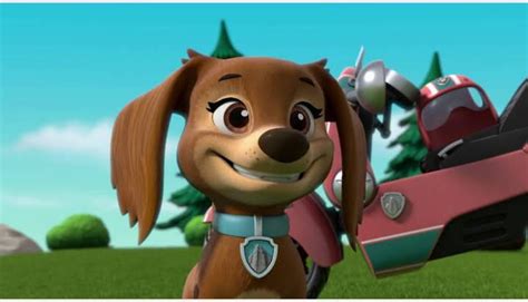 Paw Patrol Liberty By Stefpawpatrolfanatic On Deviantart