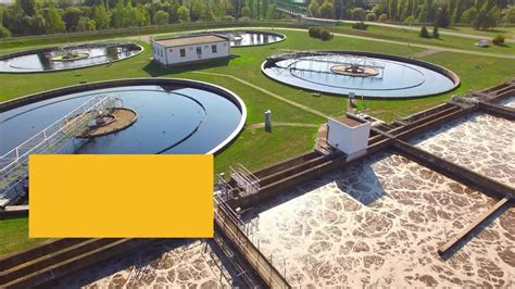 Dan Precup Posted On Linkedin