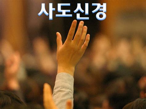 새번역 주기도문 Ppt 새번역 사도신경 Ppt 행사포스터 자료ppt 꾸미기 하늘축제교회 대한예수교장로회