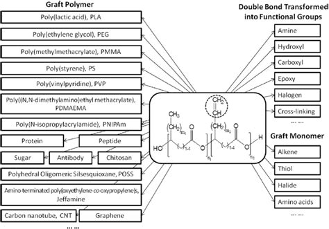 Introduction Of Functional Groups Into Pha Polymer Chains In Predefined