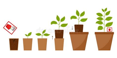 Planting Seeds Stock Illustrations 1328 Planting Seeds Stock