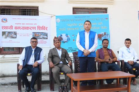 बुटवल उपमहानगरपालिका भित्रका सडक कुकुरहरुको बन्ध्याकरण शुरु Press Pati