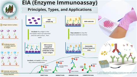 Eia Enzyme Immunoassay Lab Tests Guide