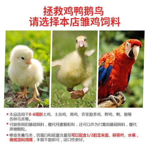 华畜小鸡饲料 雏鸡饲料20斤包邮颗粒开口料鸡鹅鹌鹑鸟饲料鸭饲料 小编推荐 Wepost 全民代运 马来西亚中国淘宝代运与集运专家