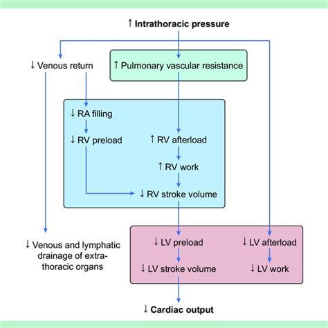 Summary Of The Cardiovascular Effects Of Positive Pressure Ventilation